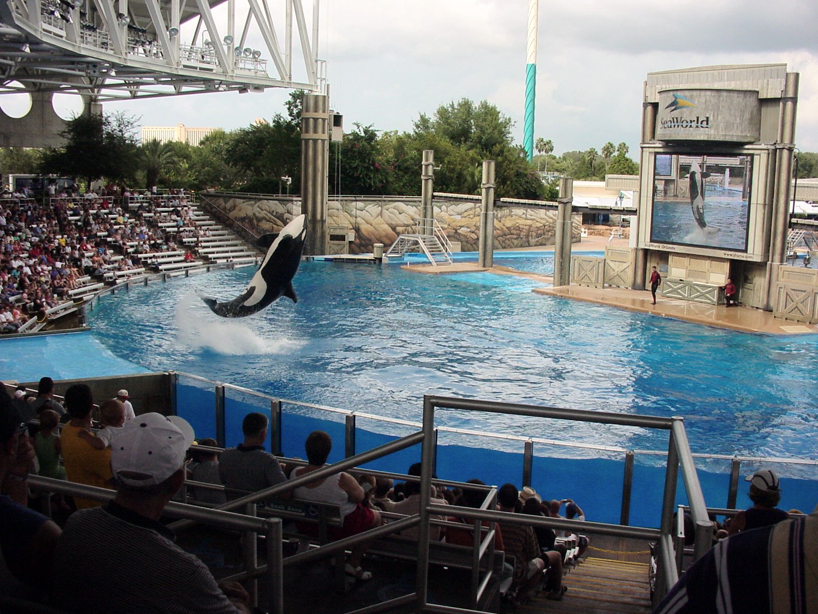 Roteiro - Sea World - Vai pra Disney?