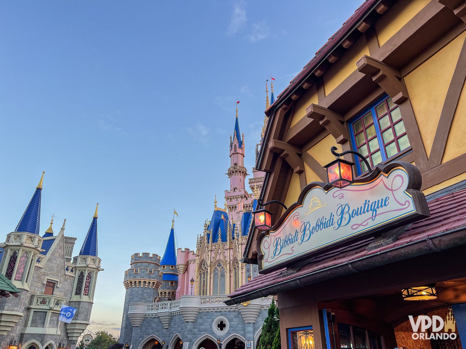 Disney para quem ama as princesas - Vai pra Disney?