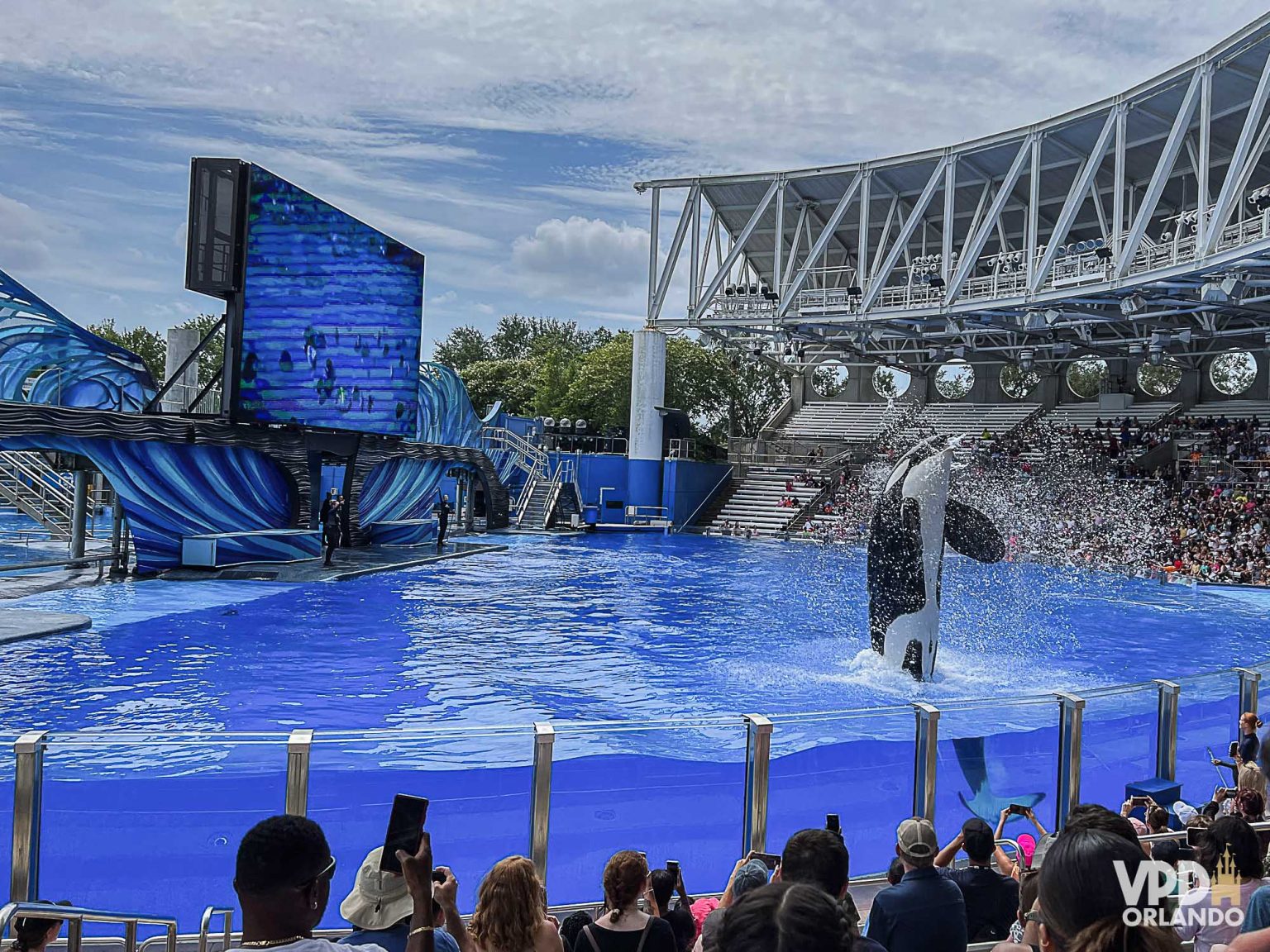 SeaWorld - Roteiro Completo e Gratuito para Aproveitar o Parque