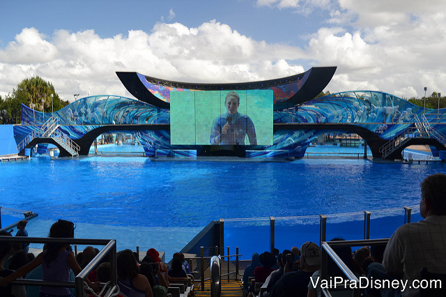 Seaworld quick queue - ukrainecpa