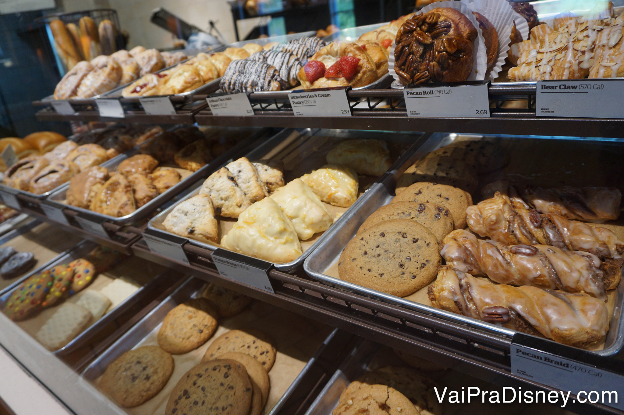 Panera Bread: comida boa e barata para qualquer momento - Vai pra Disney?