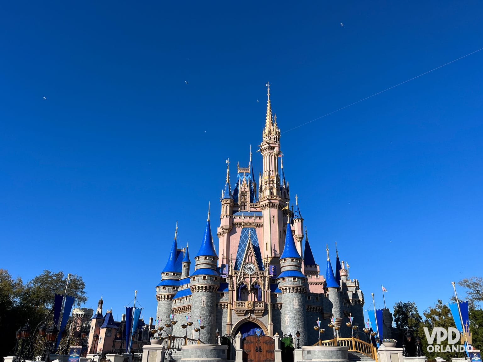 Dicas para a primeira viagem para a Disney - Vai Pra Disney?