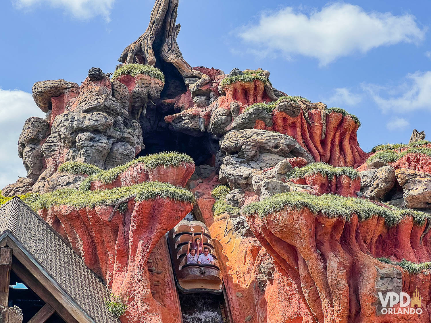 Rider Switch: como evitar filas com crianças pequenas - Vai pra Disney?