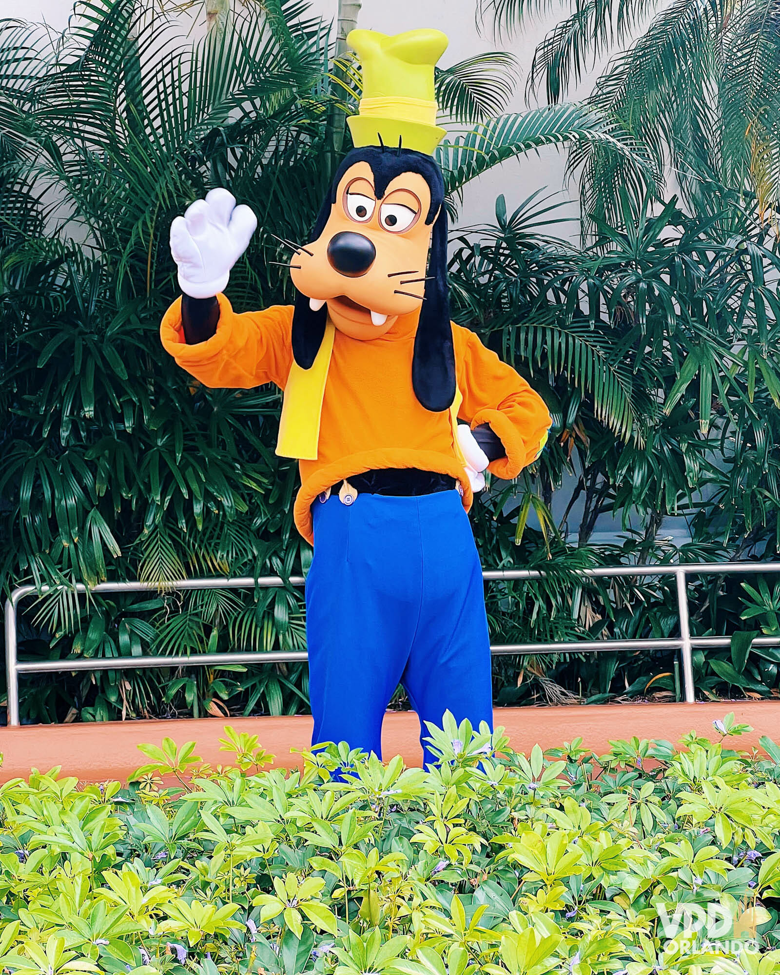 Personagens da Disney: onde encontrar - Vai pra Disney?